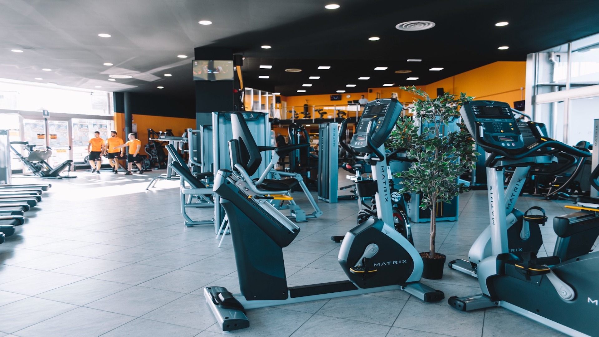 FitActive - il Fitness x Tutti - Palestre in Franchising, 24h/24 a 19,90€