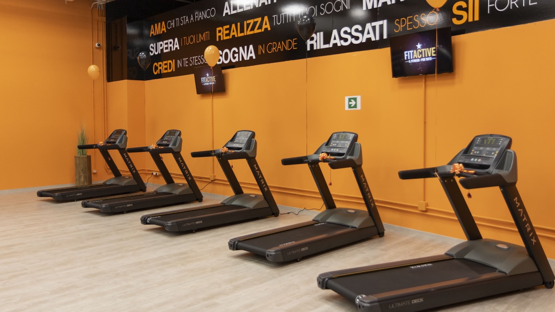 FitActive - il Fitness x Tutti - Palestre in Franchising, 24h/24 a 19,90€